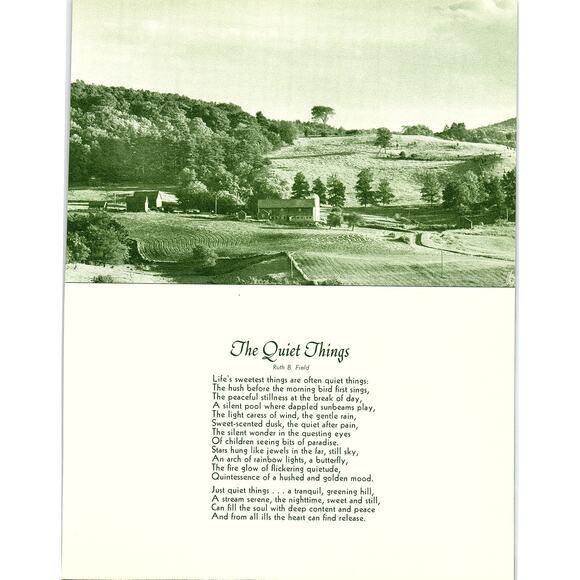 None and/or Unknown | Other | The Quiet Things Ruth B Field 97s Poem ...